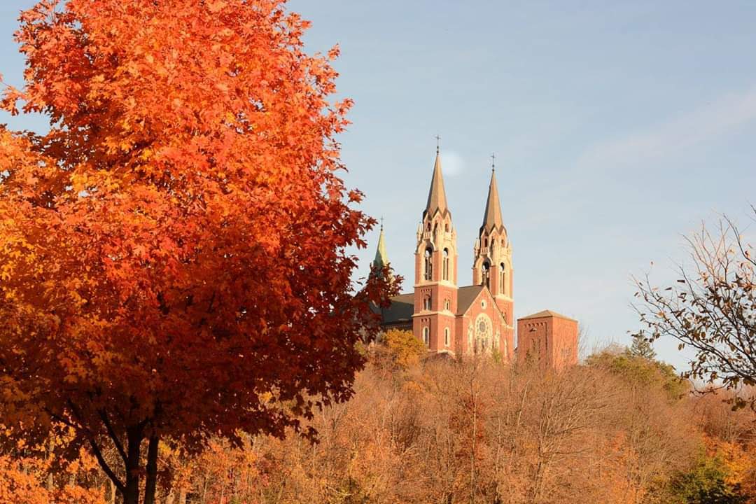 Chemicals and Food Safety in the 21st Century by Danielle Robertson ...